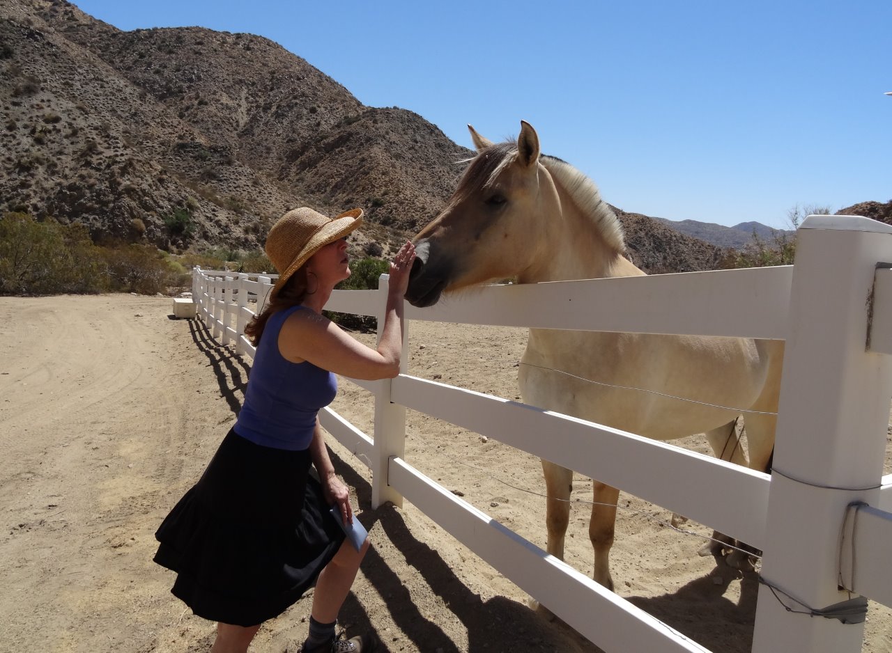 Hidden Passage Horse Facilities - Hidden Passage Guest Ranch
