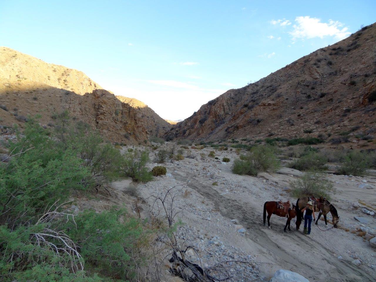 Hidden Passage Guest Ranch – Sand to Snow National Monument