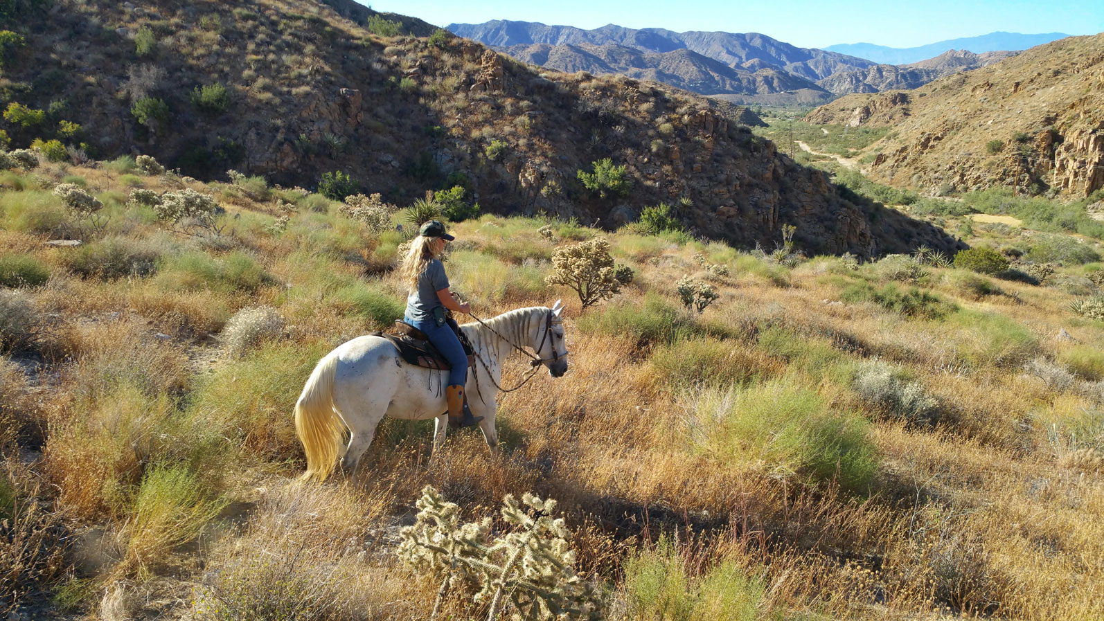 Hidden Passage Horse Facilities - Hidden Passage Guest Ranch
